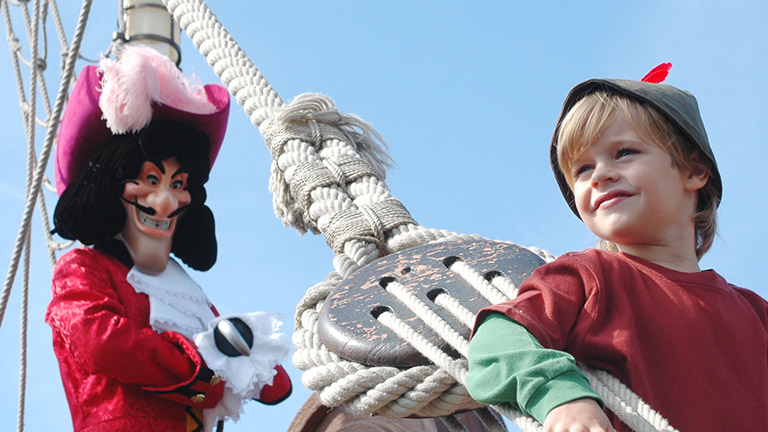 Hook Captaen Disneyland